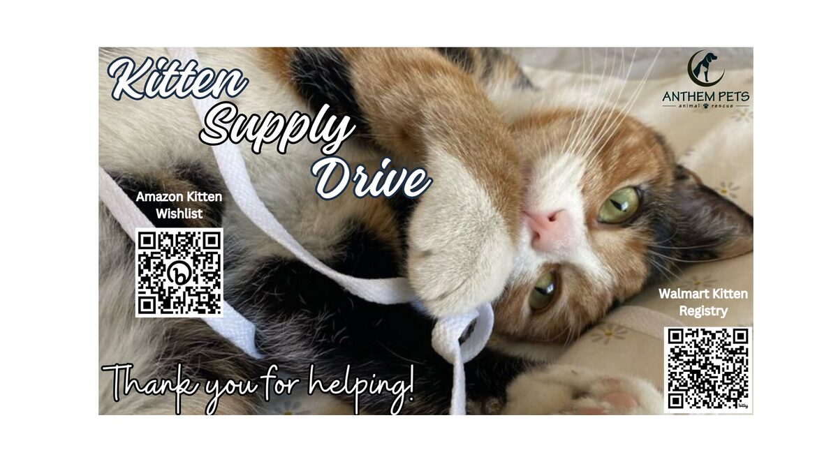 KITTEN Supply Drive - Anthem Pets Animal Rescue