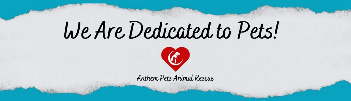 Anthem Pets Animal Rescue - Saving lives since 2005