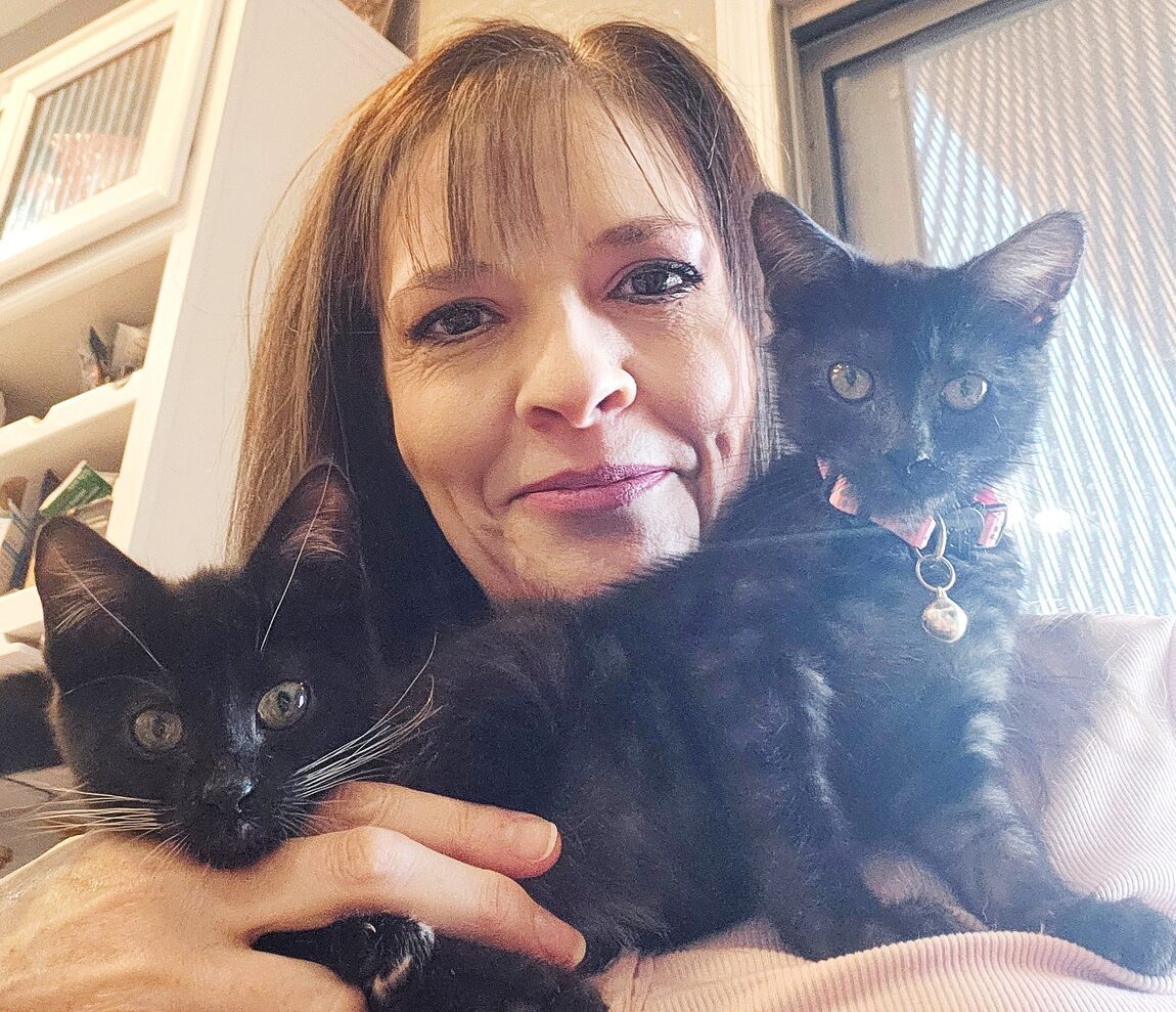 Please Foster - Anthem Pets Animal Rescue