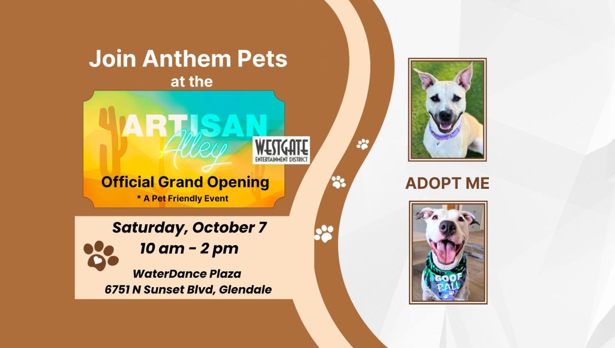 Meet Anthem Pets at Artisan Alley! - Anthem Pets Animal Rescue