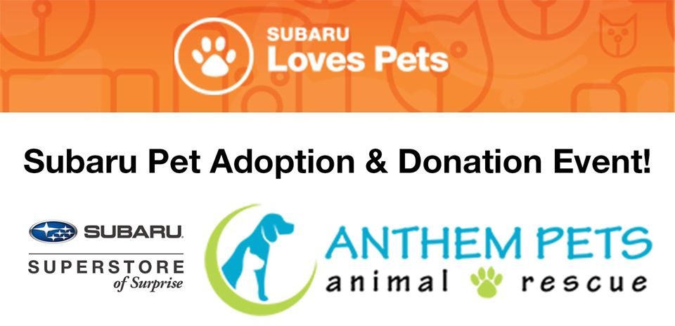 Subaru Adoption & Donation Event - Anthem Pets Animal Rescue